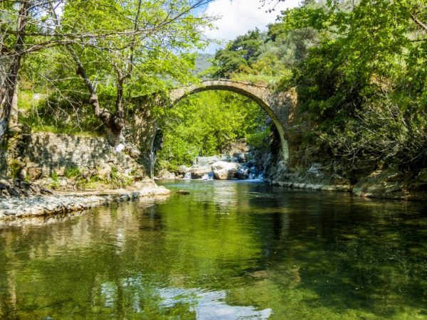 Yeşilin Binbir Tonuna Doyacaksınız: Kaz Dağları