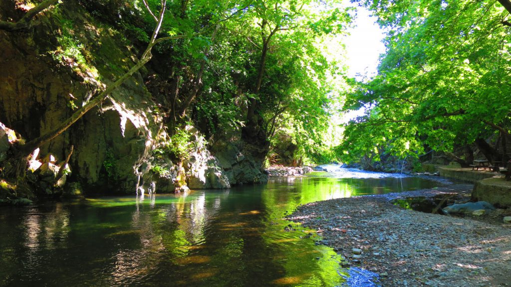 Yeşilin Binbir Tonuna Doyacaksınız: Kaz Dağları